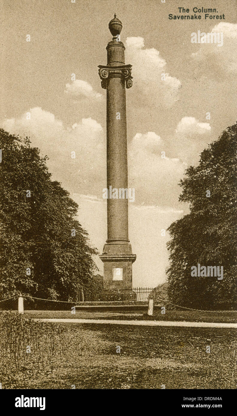 The Column, Savernake Forest Stock Photo - Alamy