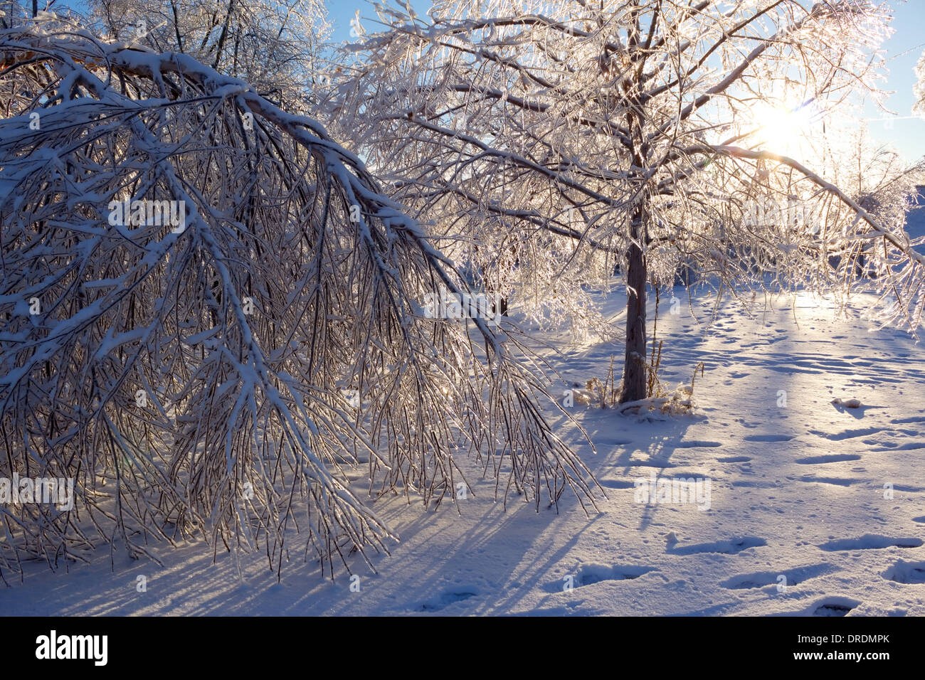 Winter Ice Storm