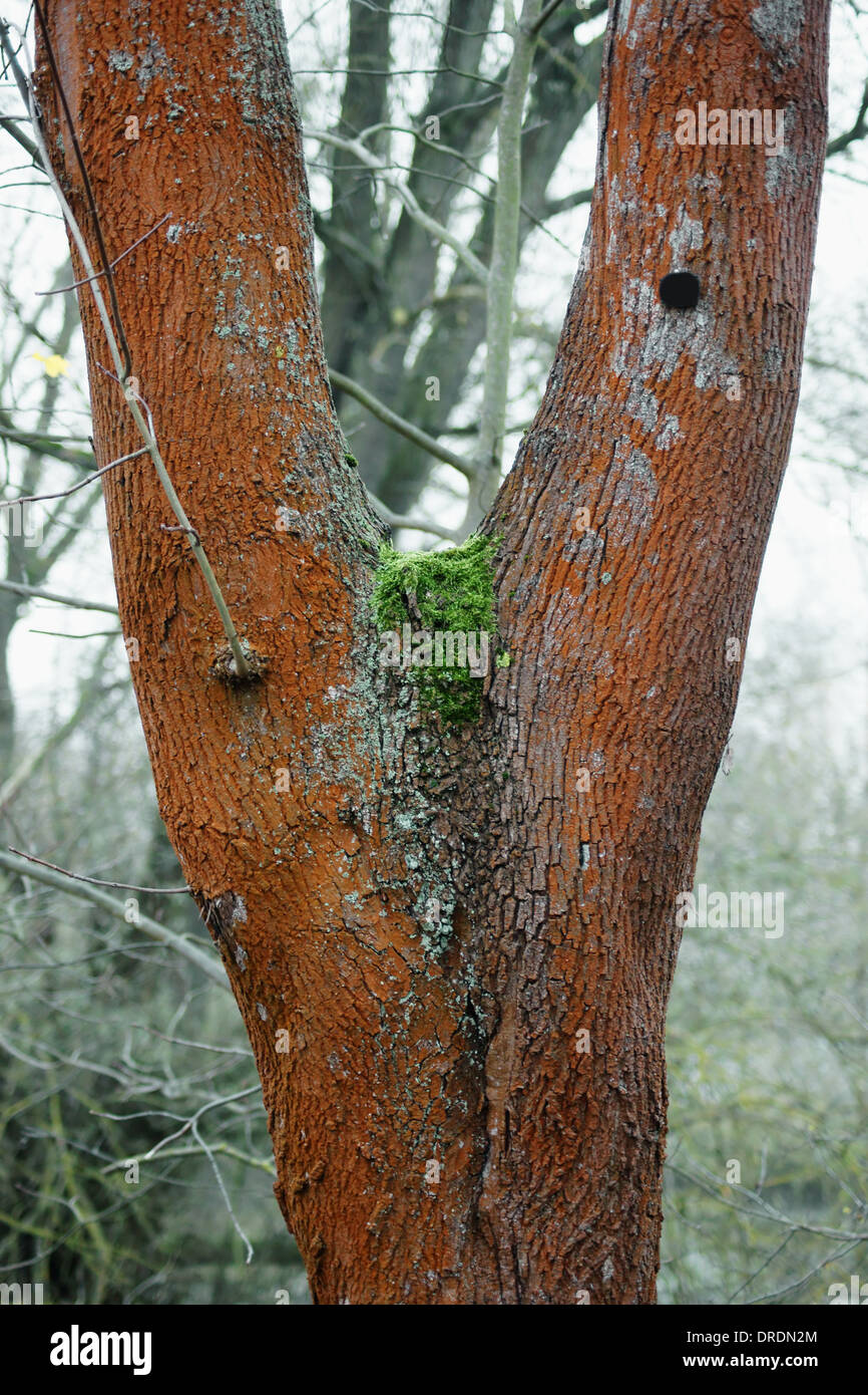 Fork road hi-res stock photography and images - Alamy