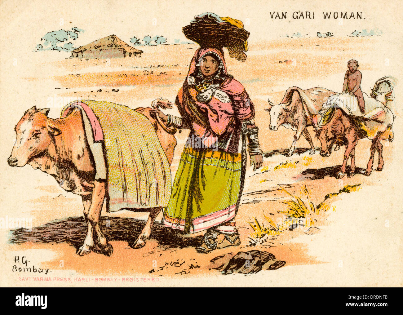 India - Van Gari Woman leading an Ox Stock Photo - Alamy