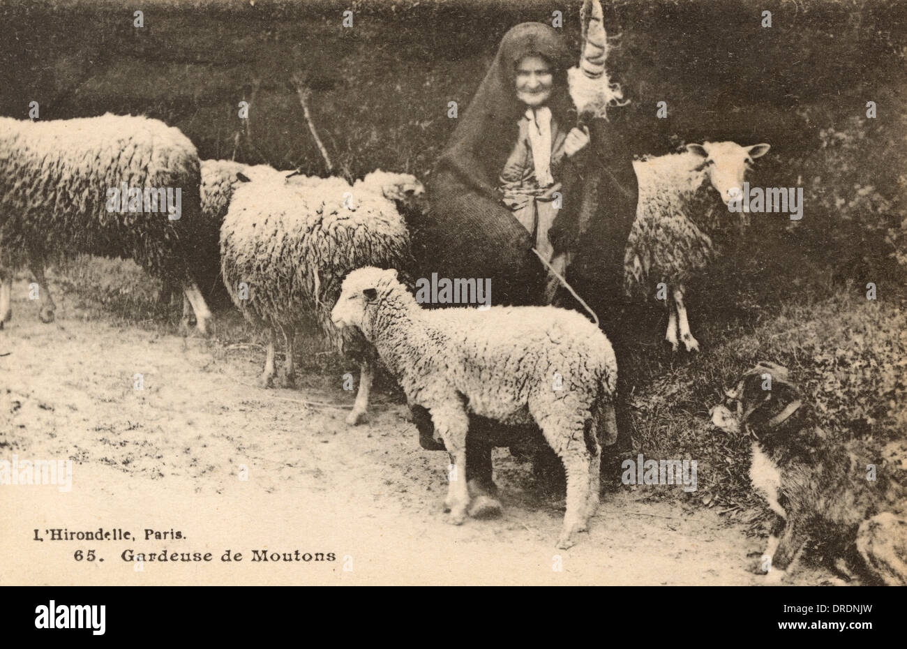 French Shepherdess with flock and dog Stock Photo - Alamy