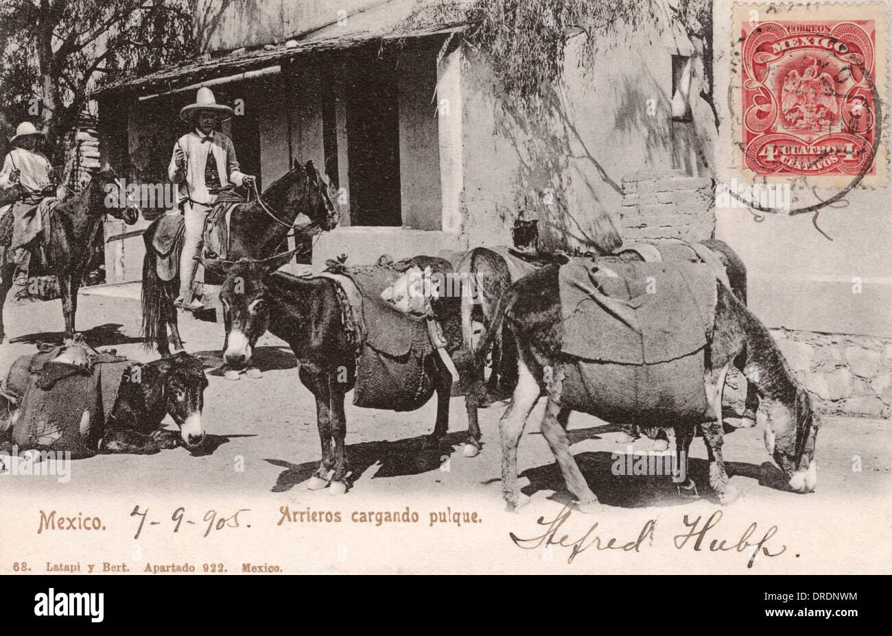Mexico - Donkeys carrying pulque Stock Photo - Alamy
