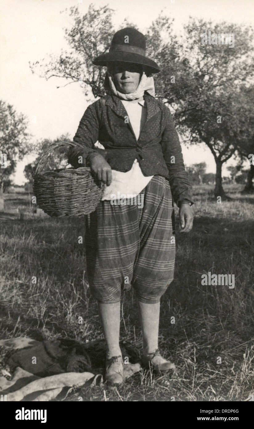 Portugal - Evora - Olive picker Stock Photo - Alamy
