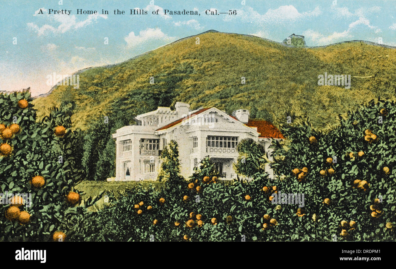 Orange groves california hi-res stock photography and images - Alamy