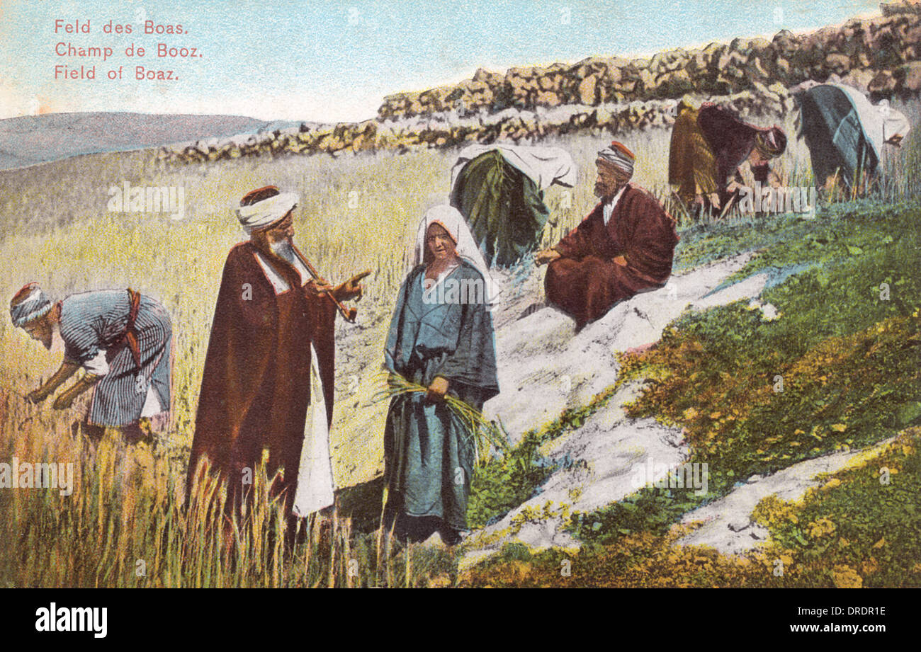 Israel - Bible scene reconstruction - The Field of Boaz Stock Photo - Alamy