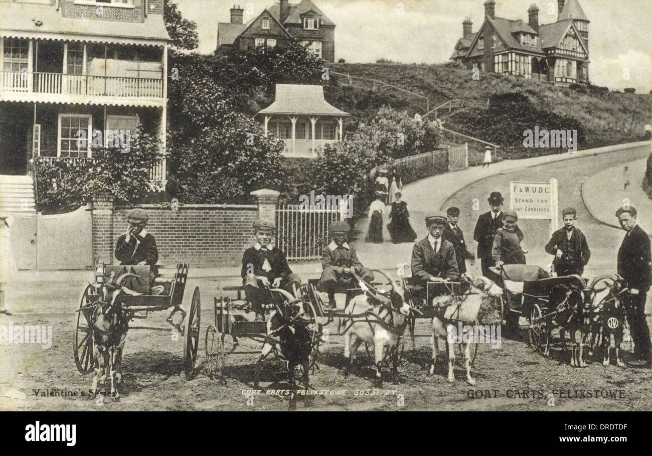 Goat Carts at Felixstowe, Suffolk Stock Photo - Alamy