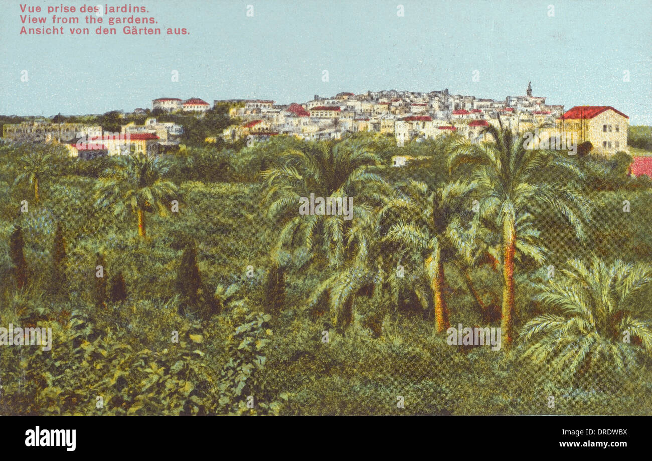 Beirut, Lebanon - View from the Gardens Stock Photo - Alamy