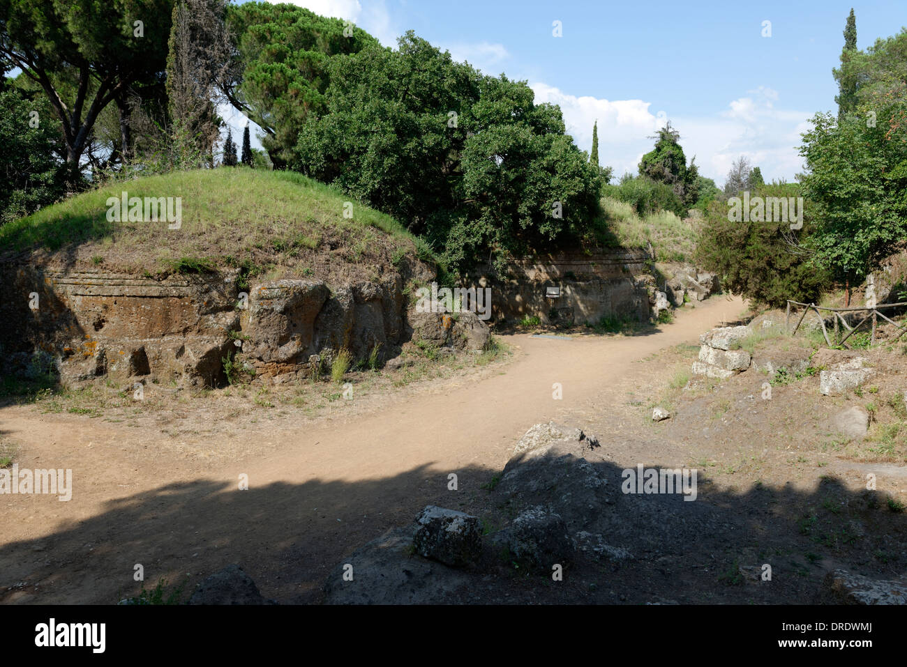 Circular colossal tombs Tumuli with conical grass grown tops at ...