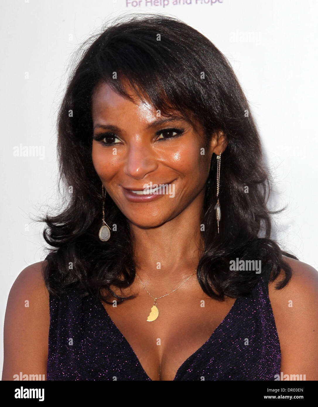 Lisa Masterson 14th Annual DesignCare Event to benefit the HollyRod ...