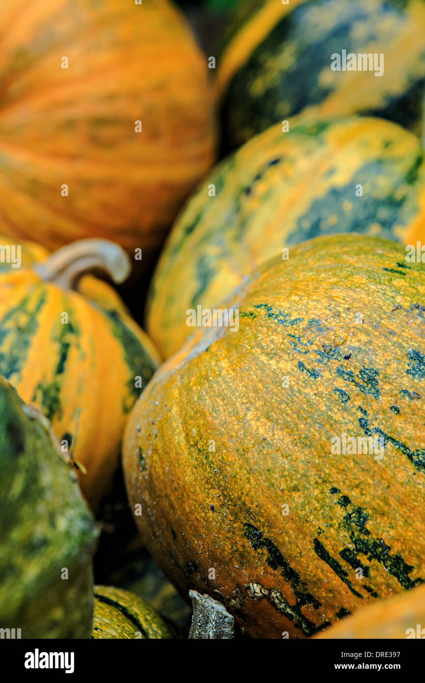 Shot box hi-res stock photography and images - Alamy