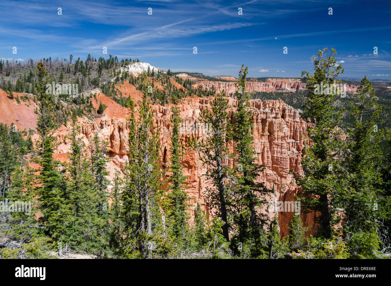 Bryce Canyon National Park in Utah Stock Photo - Alamy