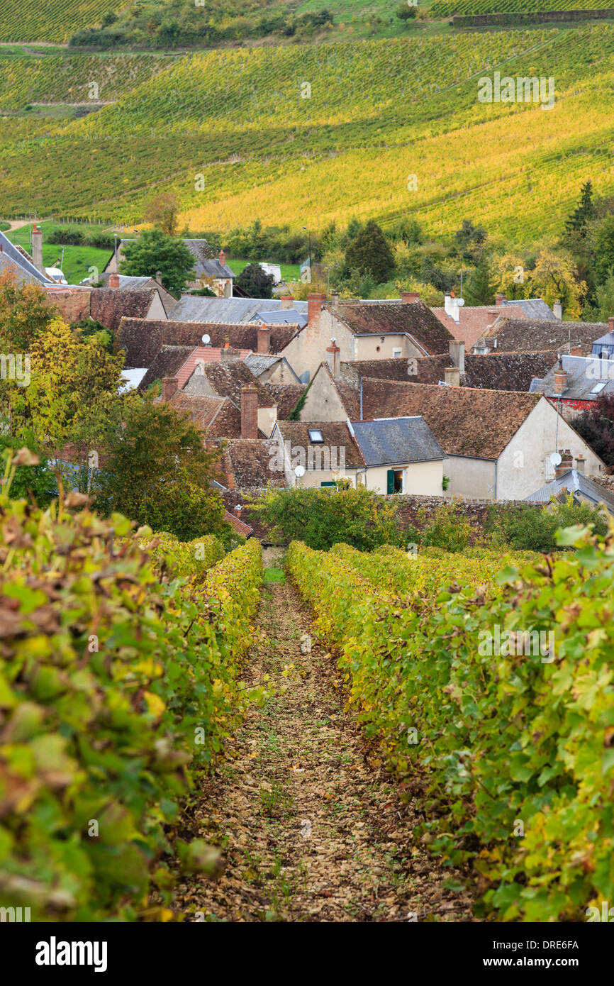 France, Cher, Sancerre, Chavignol hamlet, houses in the village and ...