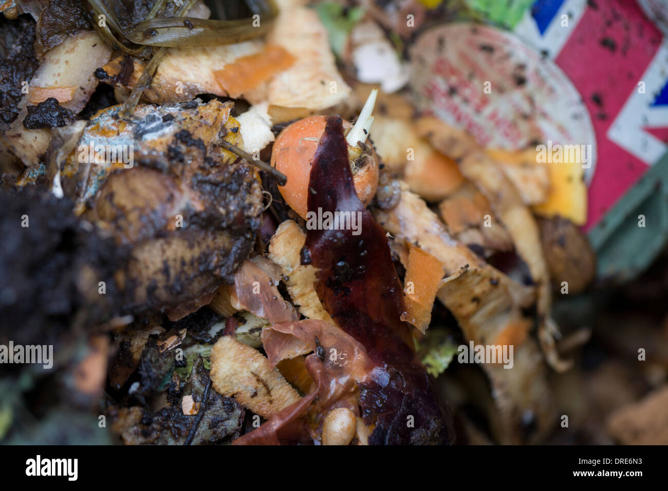 A detail of rotting vegetables in a garden compost bin Stock Photo - Alamy