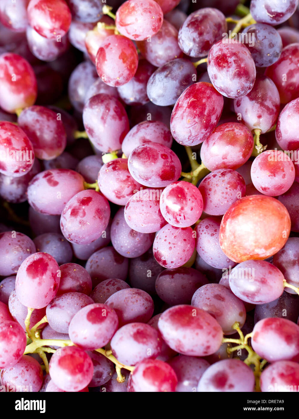 Fruits in red hi-res stock photography and images - Alamy