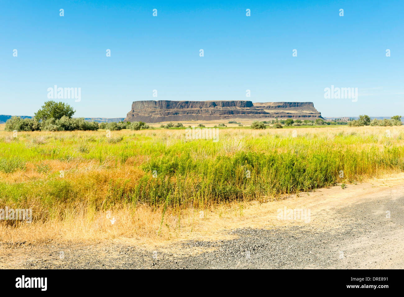Steamboat Rock State Park, Washington State, USA Stock Photo - Alamy