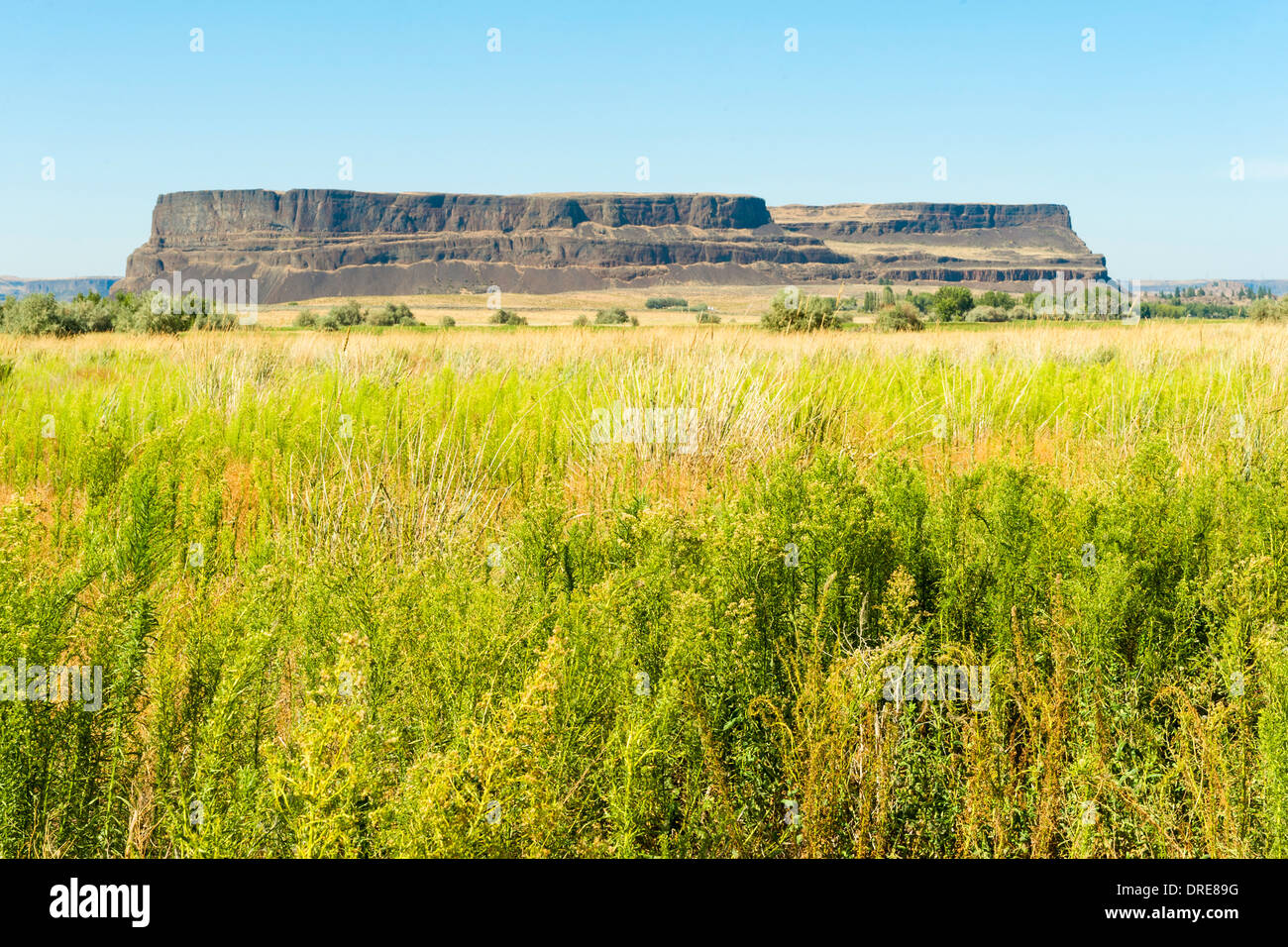 Steamboat Rock State Park, Washington State, USA Stock Photo - Alamy
