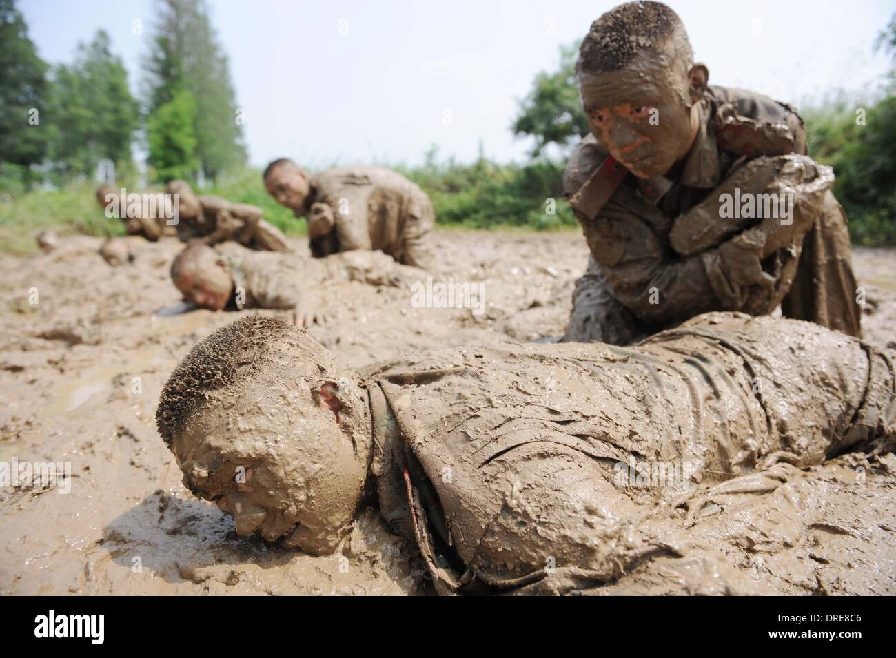 Bog standard hi-res stock photography and images - Alamy