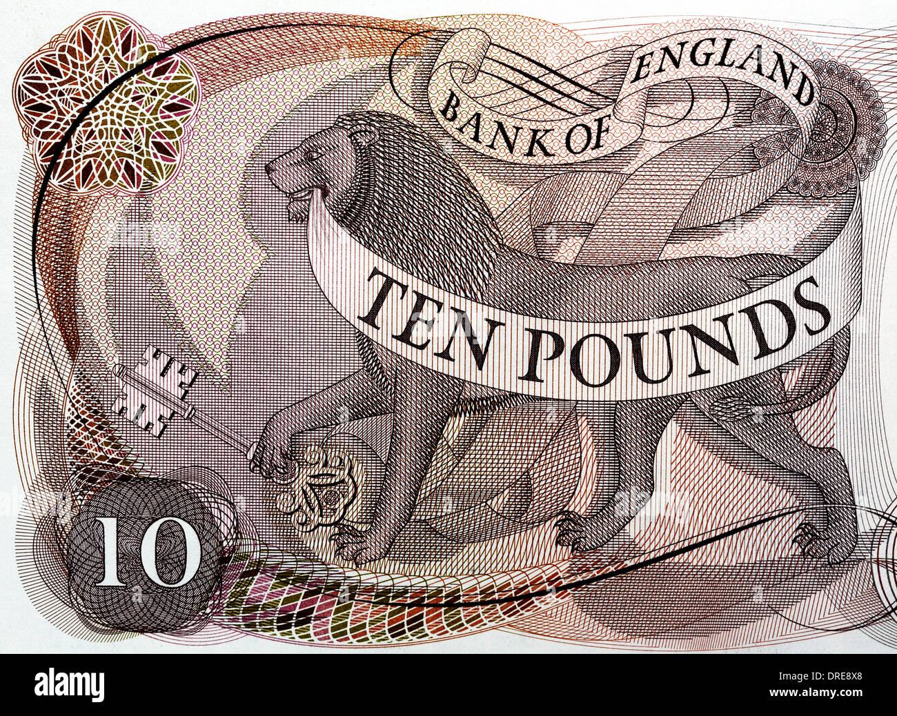 Lion money hi-res stock photography and images - Alamy