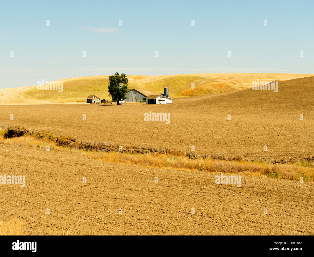 View of the Palouse Hills of Whitman County, Washington State, USA ...