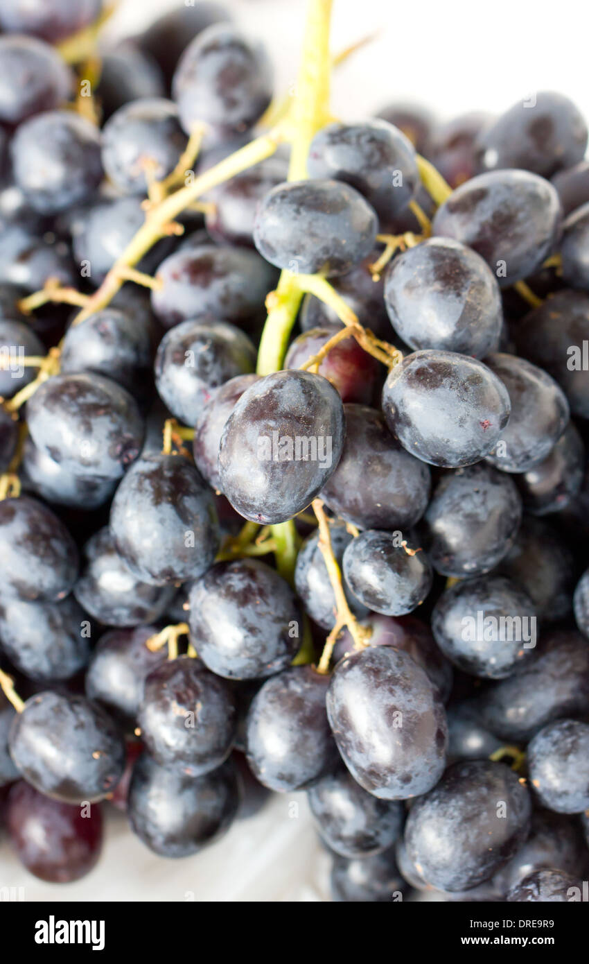Close up of grape fruits Stock Photo - Alamy