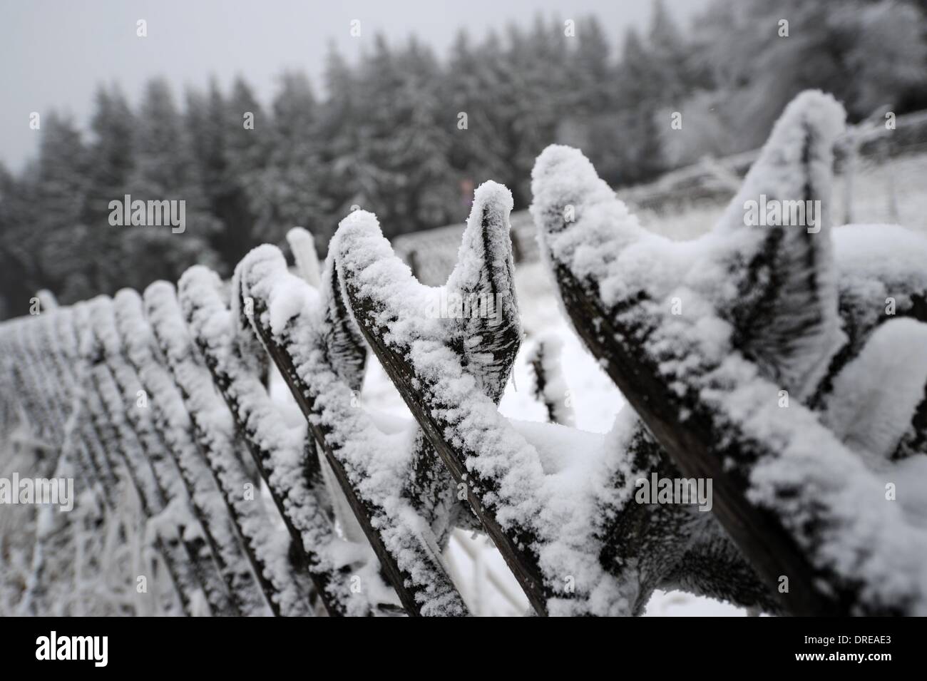 the plateau Hohe Meissner, Germany. 24th Jan, 2014. Snow covers fence ...