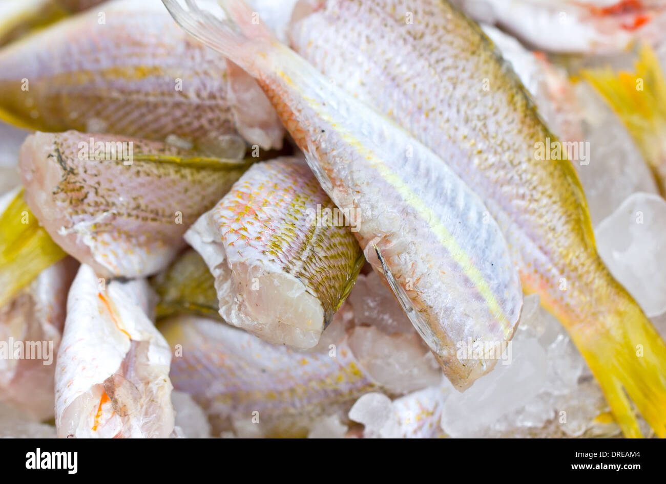 Roasted or roasted sea bream tropical fish hi-res stock photography and ...