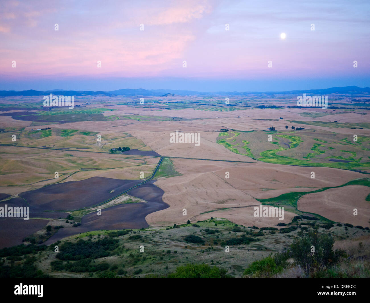 Sunset view of the Palouse Hills of Whitman County, Washington State ...