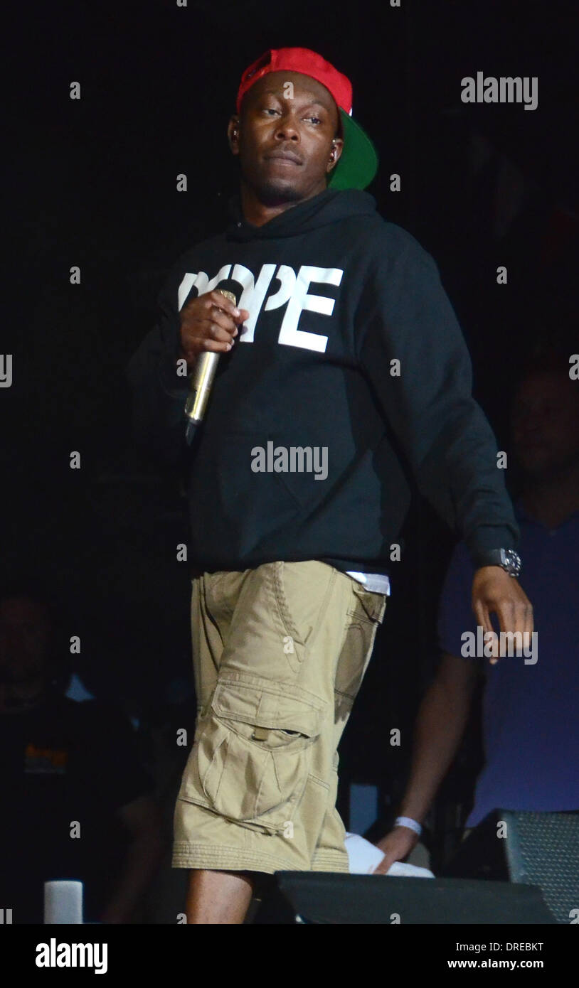 Dizzee Rascal Olympic Torch Relay Coca-Cola Concert Hyde Park, London ...