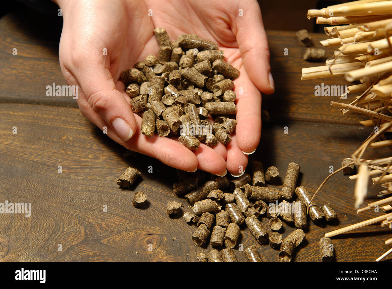 alternative biofuel from straw combustion in furnaces Stock Photo - Alamy