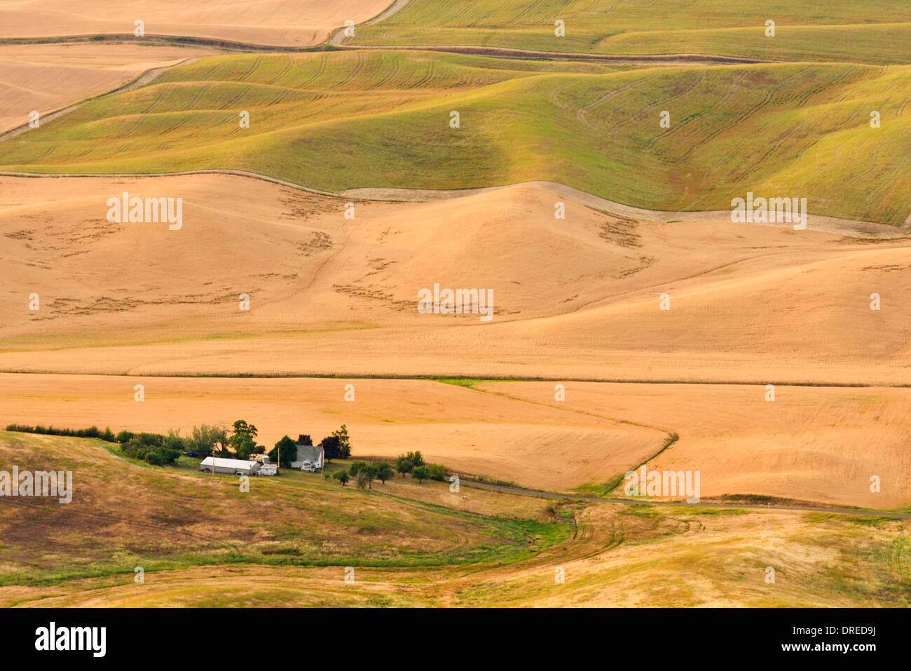 View of the Palouse Hills of Whitman County, Washington State, USA ...