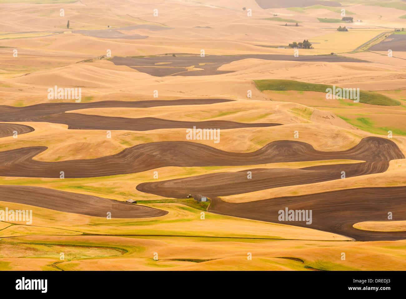 View of the Palouse Hills of Whitman County, Washington State, USA ...