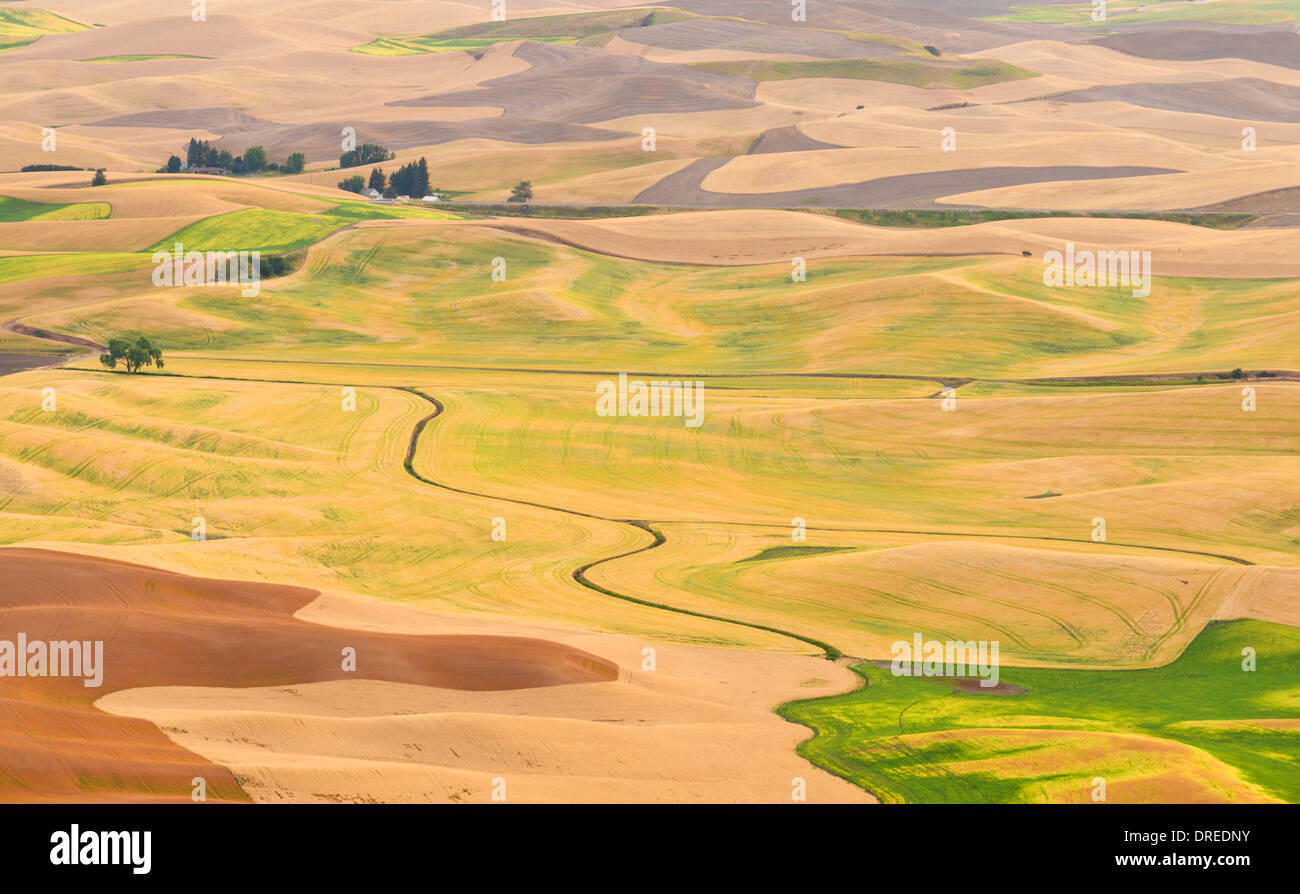 View of the Palouse Hills of Whitman County, Washington State, USA ...