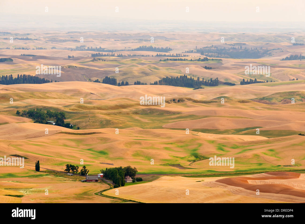 Palouse prairie steptoe butte hi-res stock photography and images - Alamy