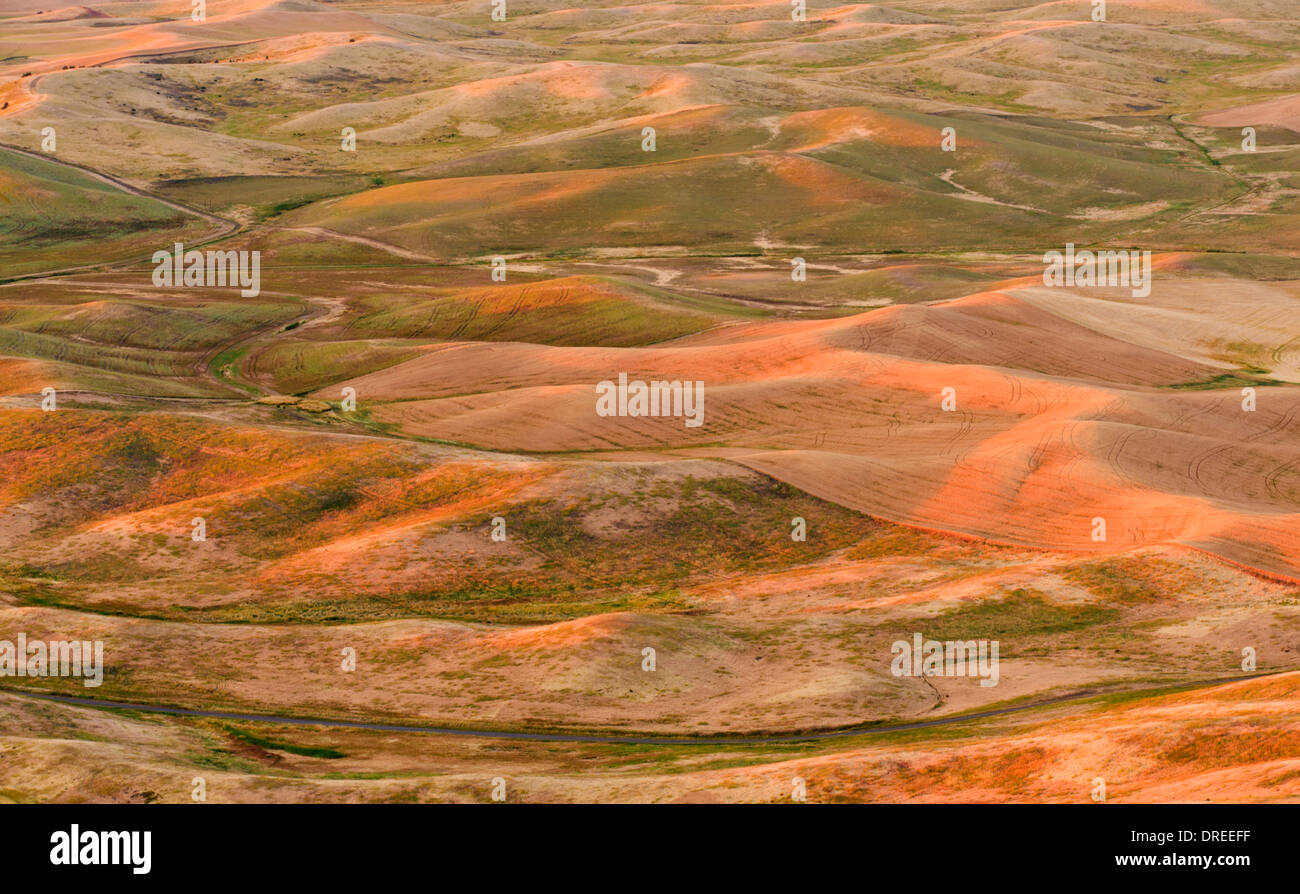 View of the Palouse Hills of Whitman County, Washington State, USA ...