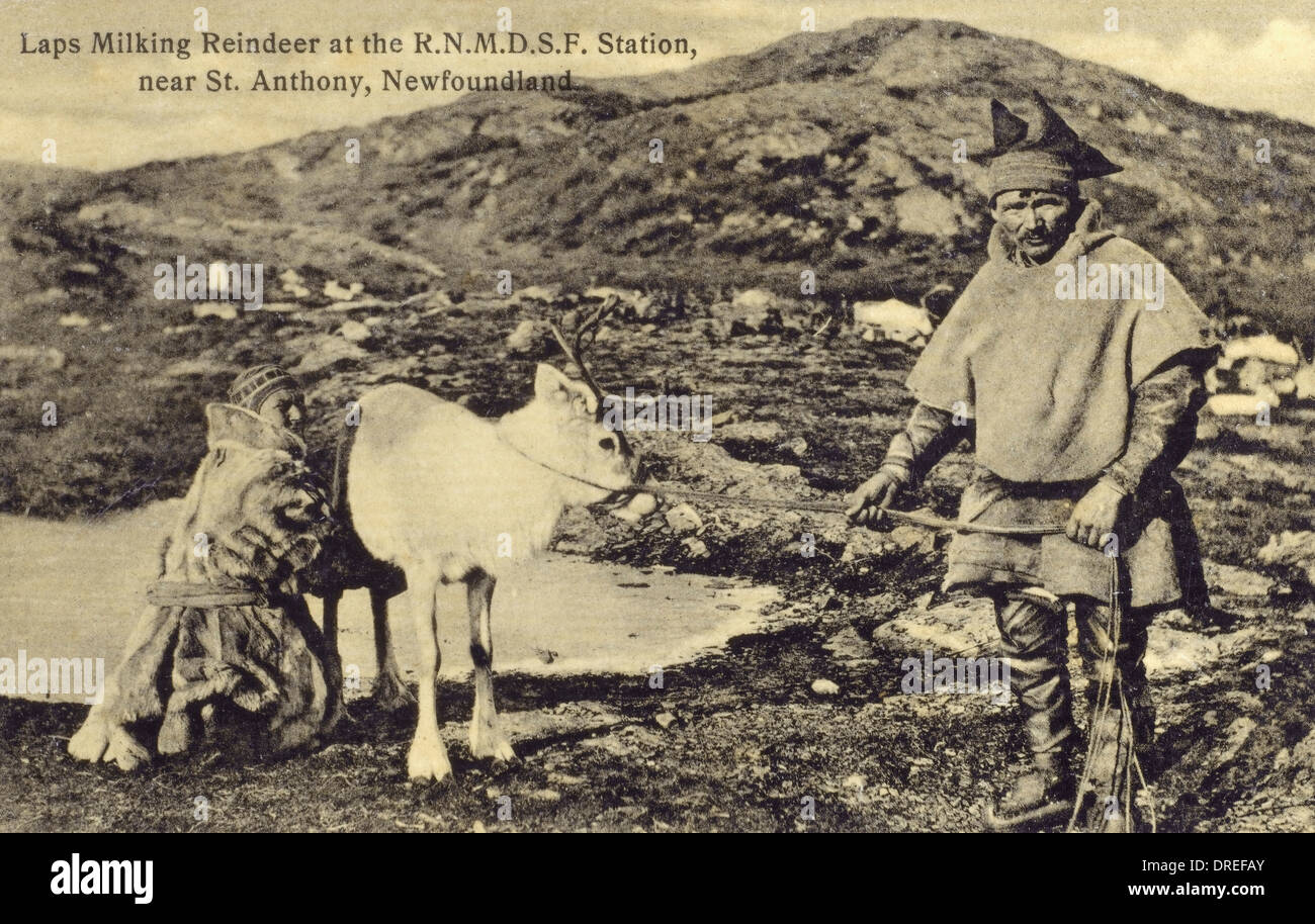 Inuit milking Reindeer, Newfoundland Stock Photo - Alamy