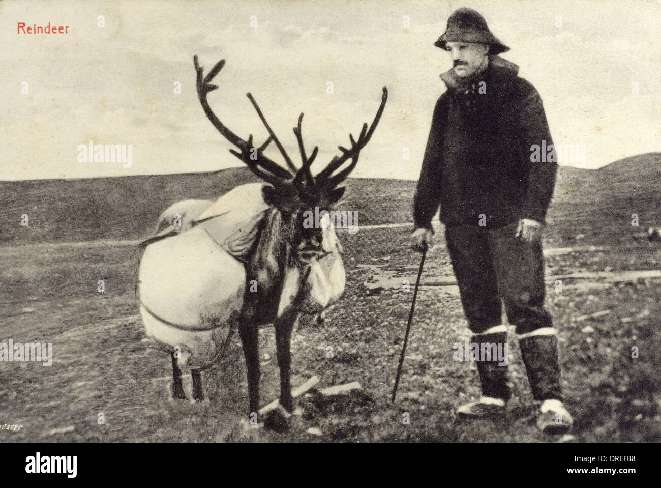 Man from Newfoundland and Labrador with reindeer Stock Photo - Alamy