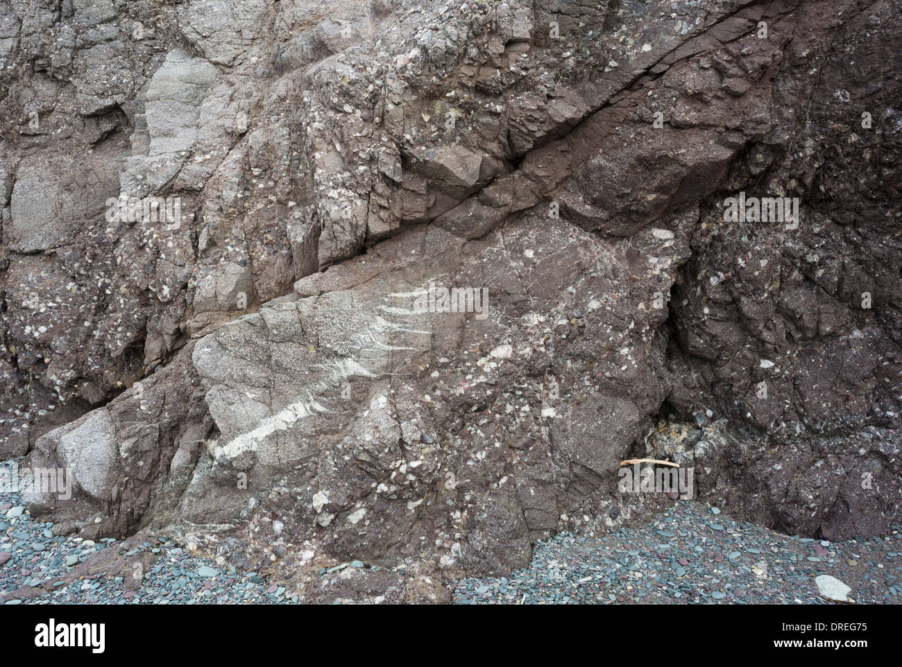 Detail of Devonian fluvial sedimentary rocks at Ballydowane Strand, in ...