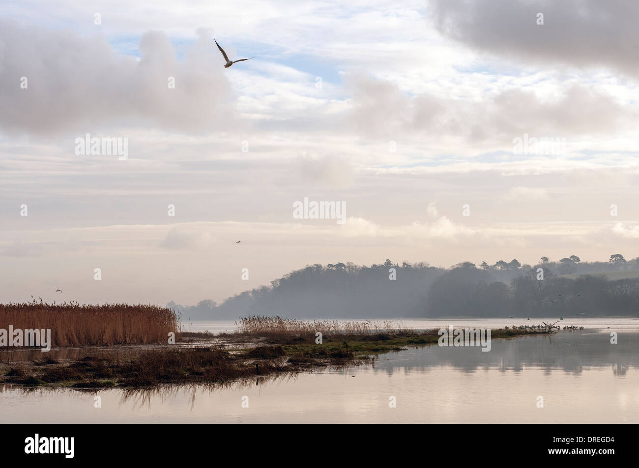 Bishopsteignton hi-res stock photography and images - Alamy