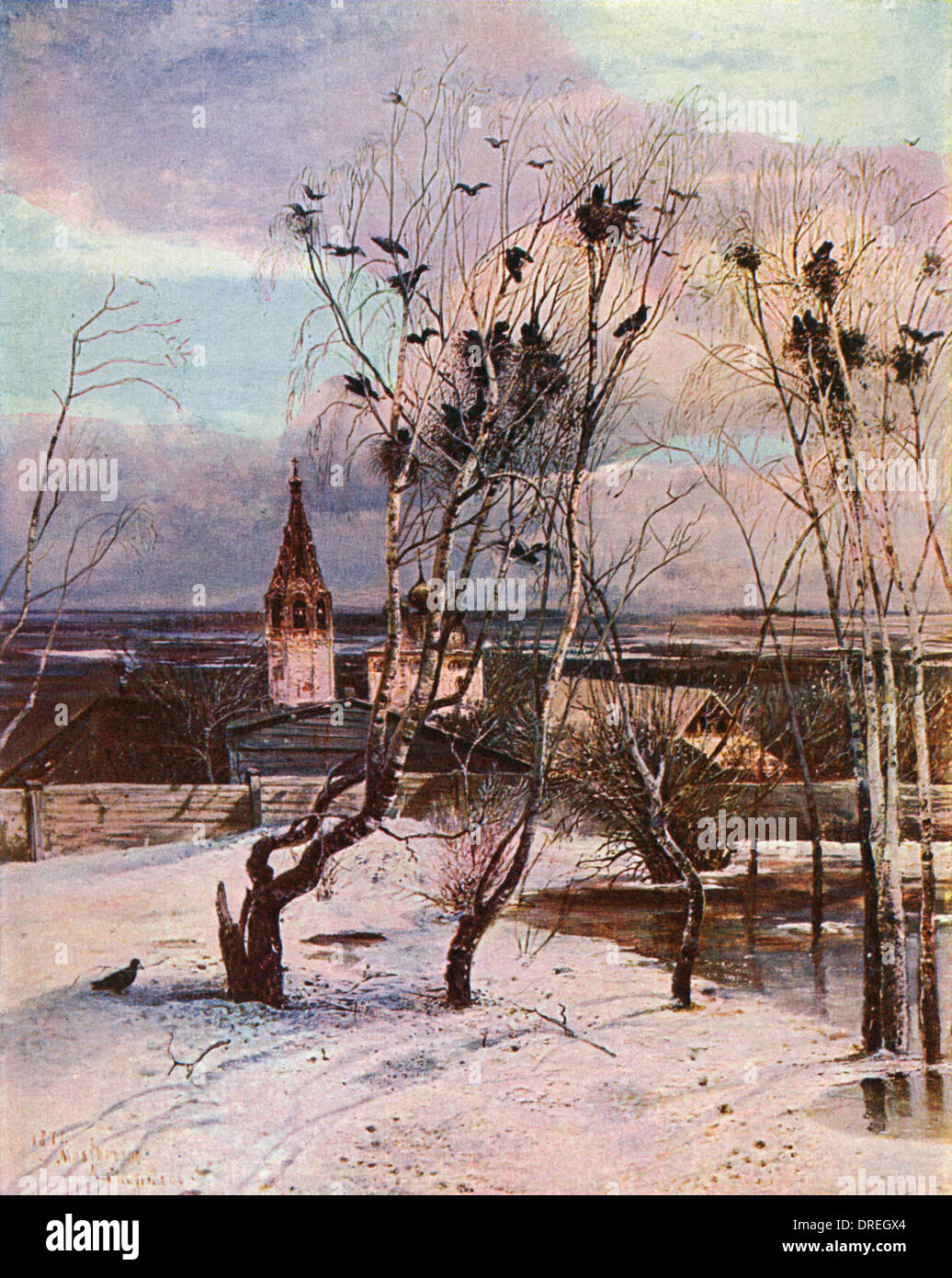 Crows and rooks hi-res stock photography and images - Alamy