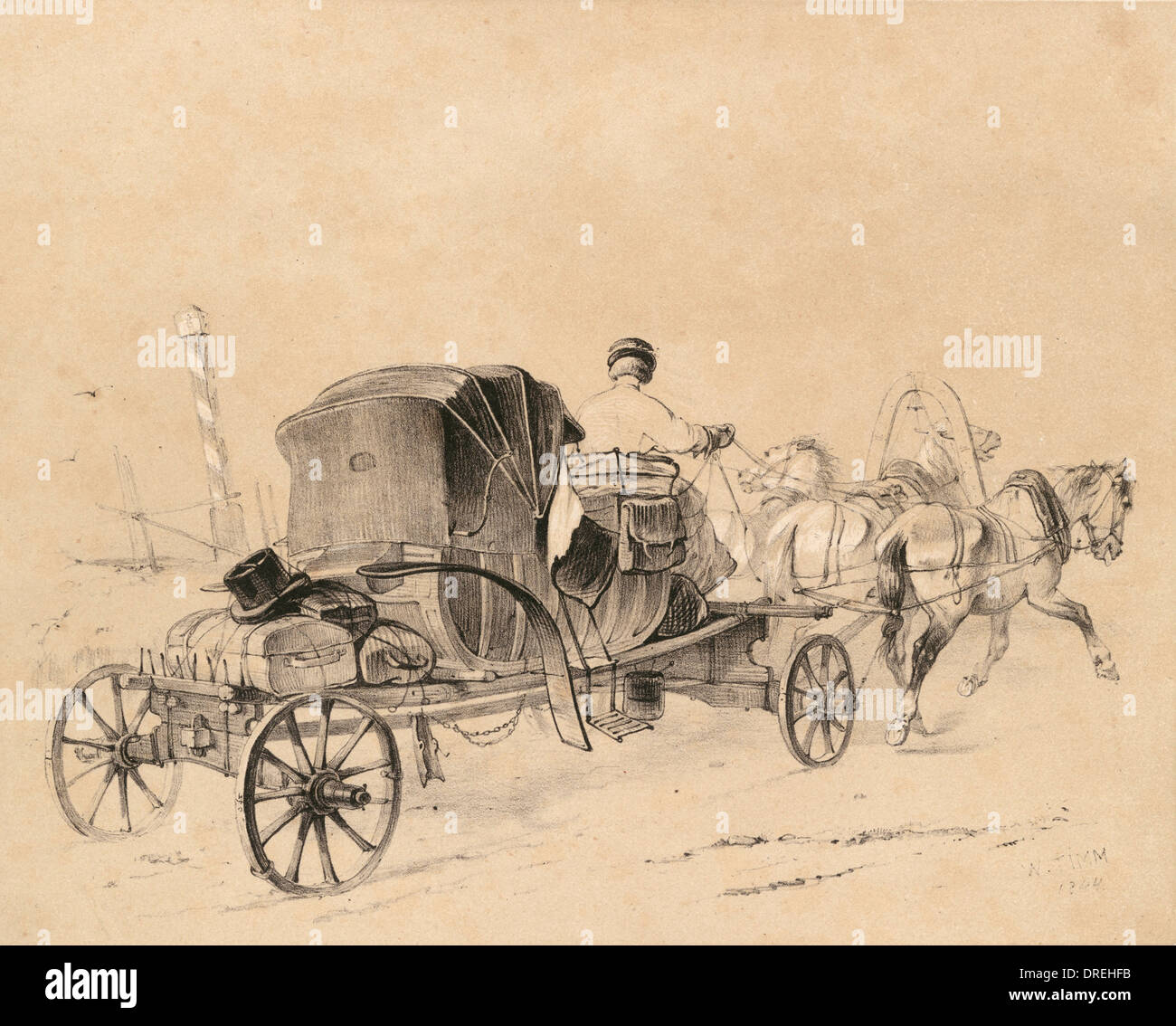 Three horses hi-res stock photography and images - Alamy