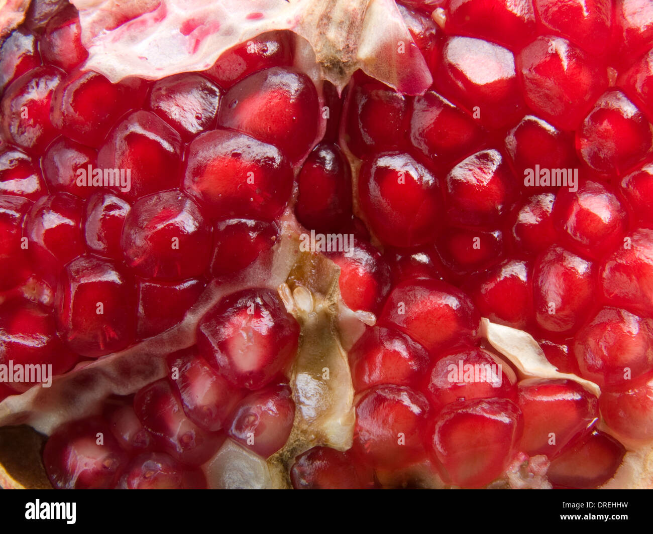 Open pomegranates with seeds hi-res stock photography and images - Alamy