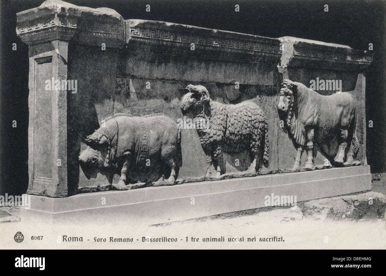 Parade of sacrificial animals Stock Photo - Alamy