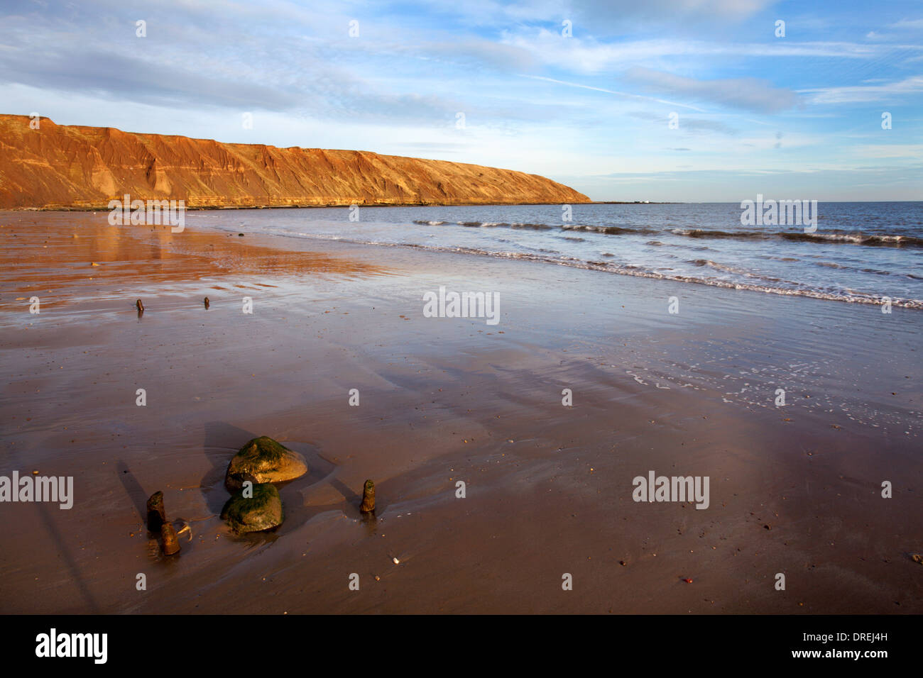 The Sands and Filey Brigg Filey North Yorkshire England Stock Photo - Alamy