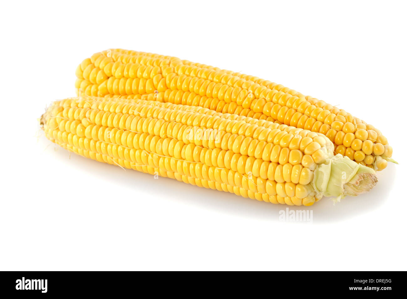 Corn cobs isolated on white background Stock Photo - Alamy
