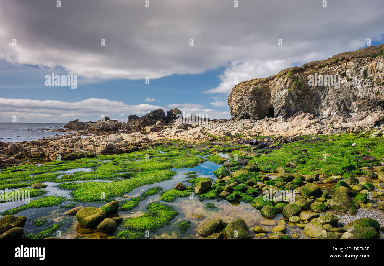 Ireland copper coast hi-res stock photography and images - Alamy