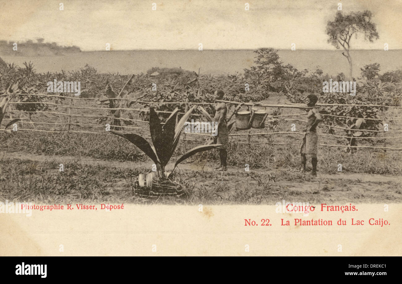 Caijo hi-res stock photography and images - Alamy