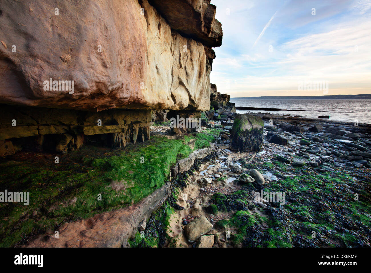 Colourful Rocks and Seaweed at Carr Naze Filey Brigg Filey North ...