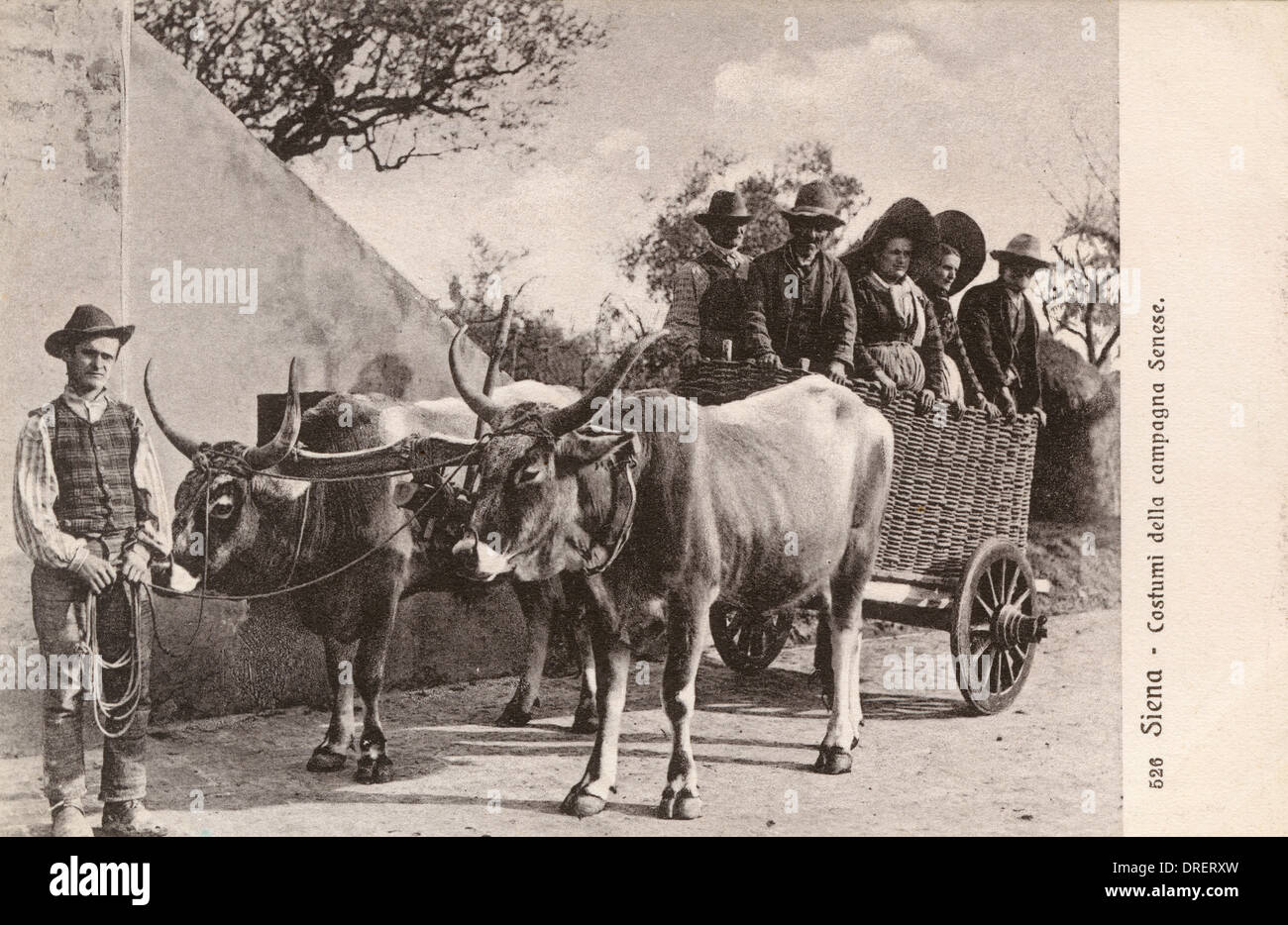 Italy - Siena - Local country folk in an ox carriage Stock Photo - Alamy