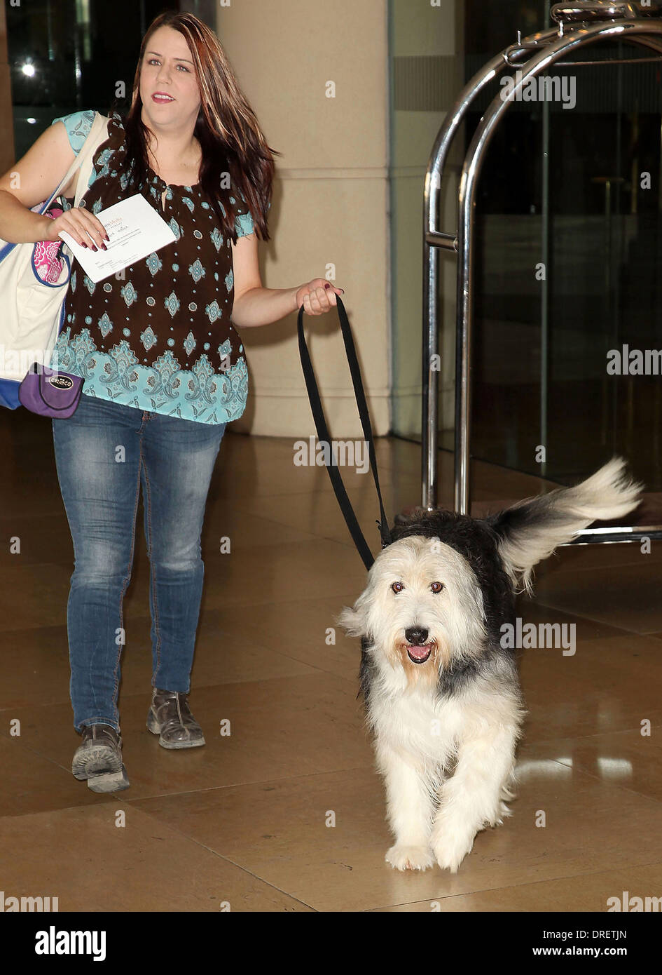 Bug Z Hallmark Channel and Hallmark Movie Channel TCA press tour at ...