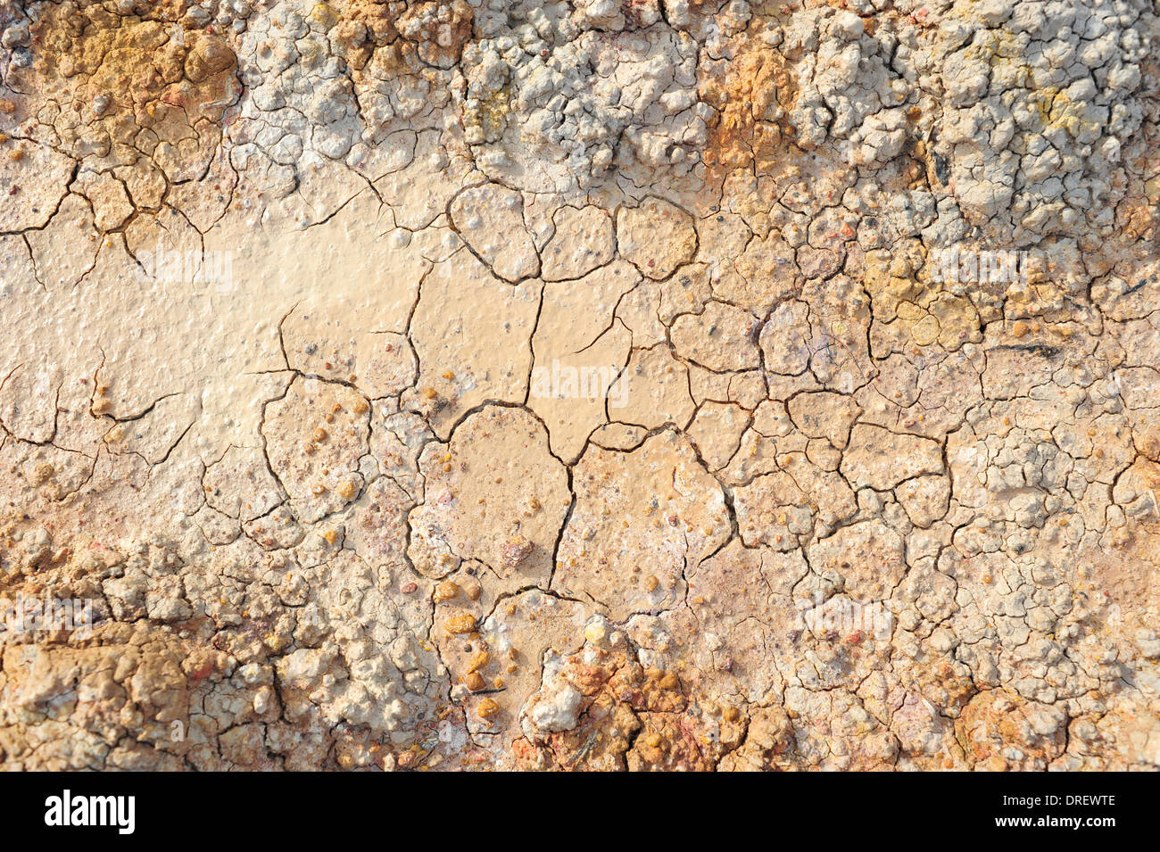 Parched hi-res stock photography and images - Alamy